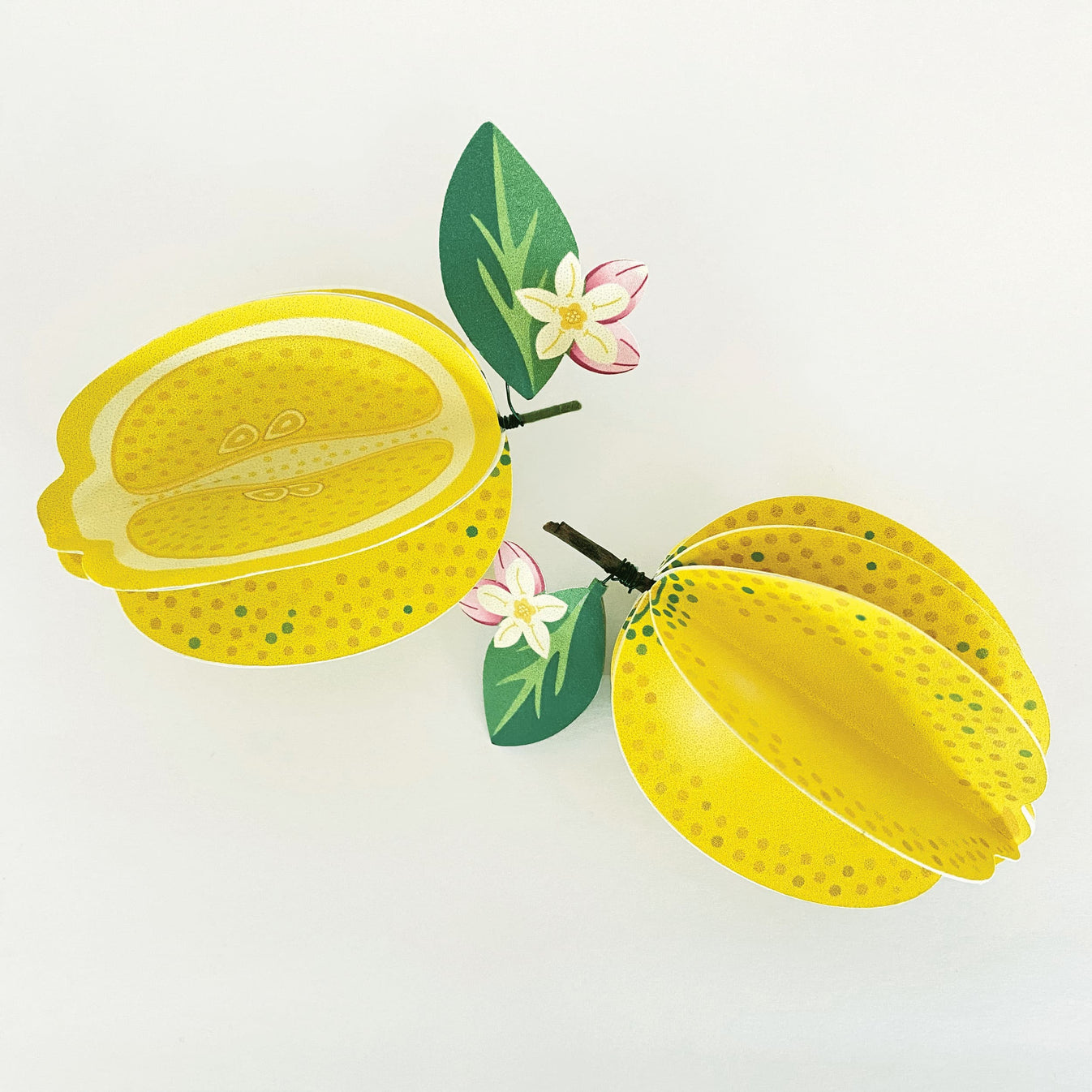 Hand-Assembled 3D Paper Lemons | Botanical Paper Art | Mozaic Studio