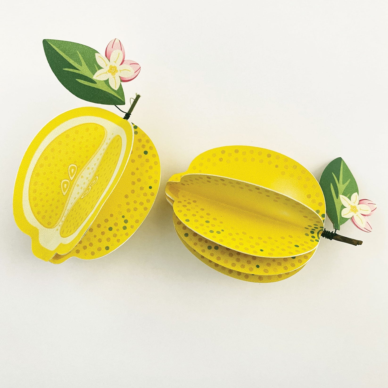 Hand-Assembled 3D Paper Lemons | Botanical Paper Art | Mozaic Studio