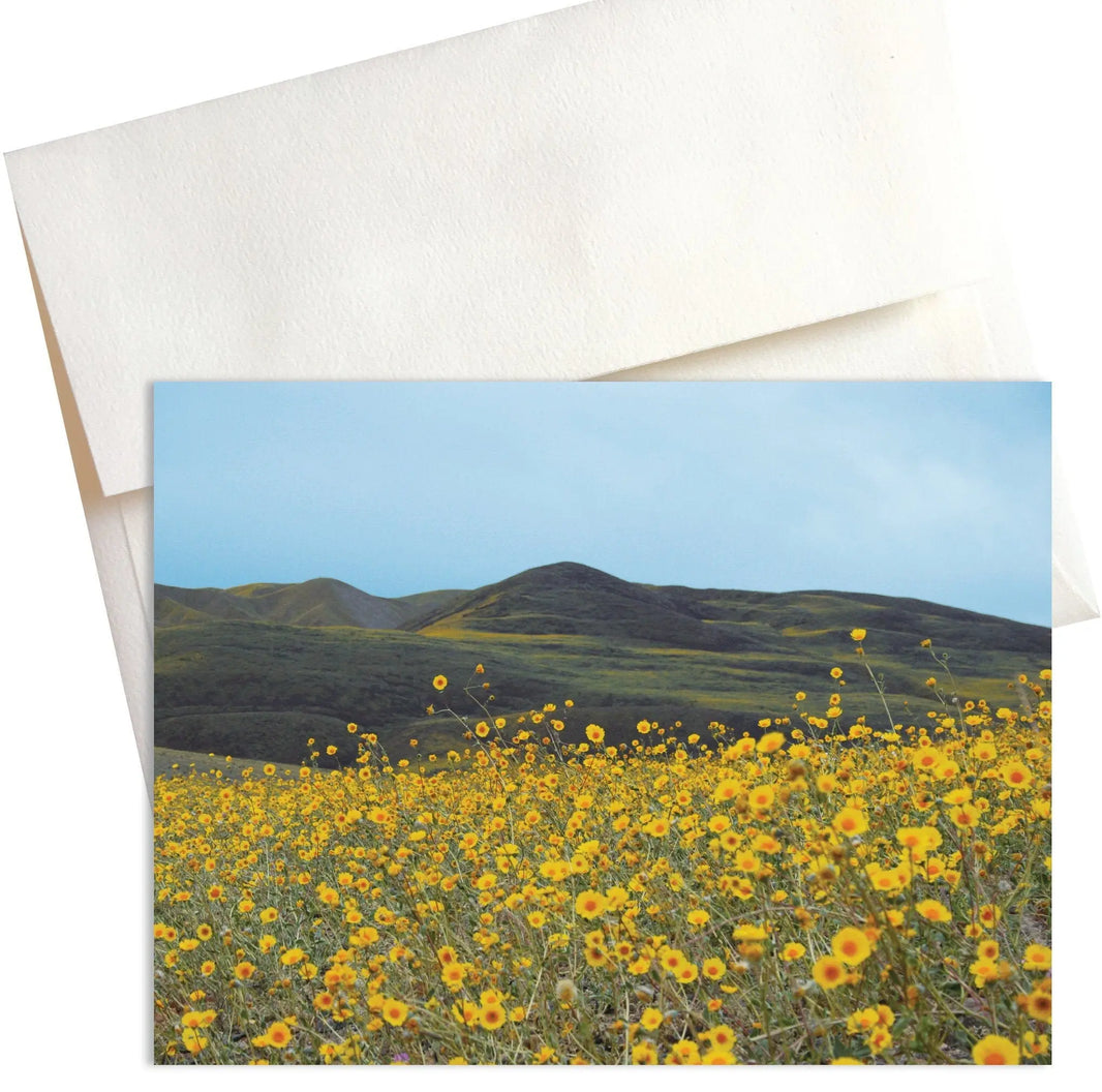 Note Cards – Mozaic Studio